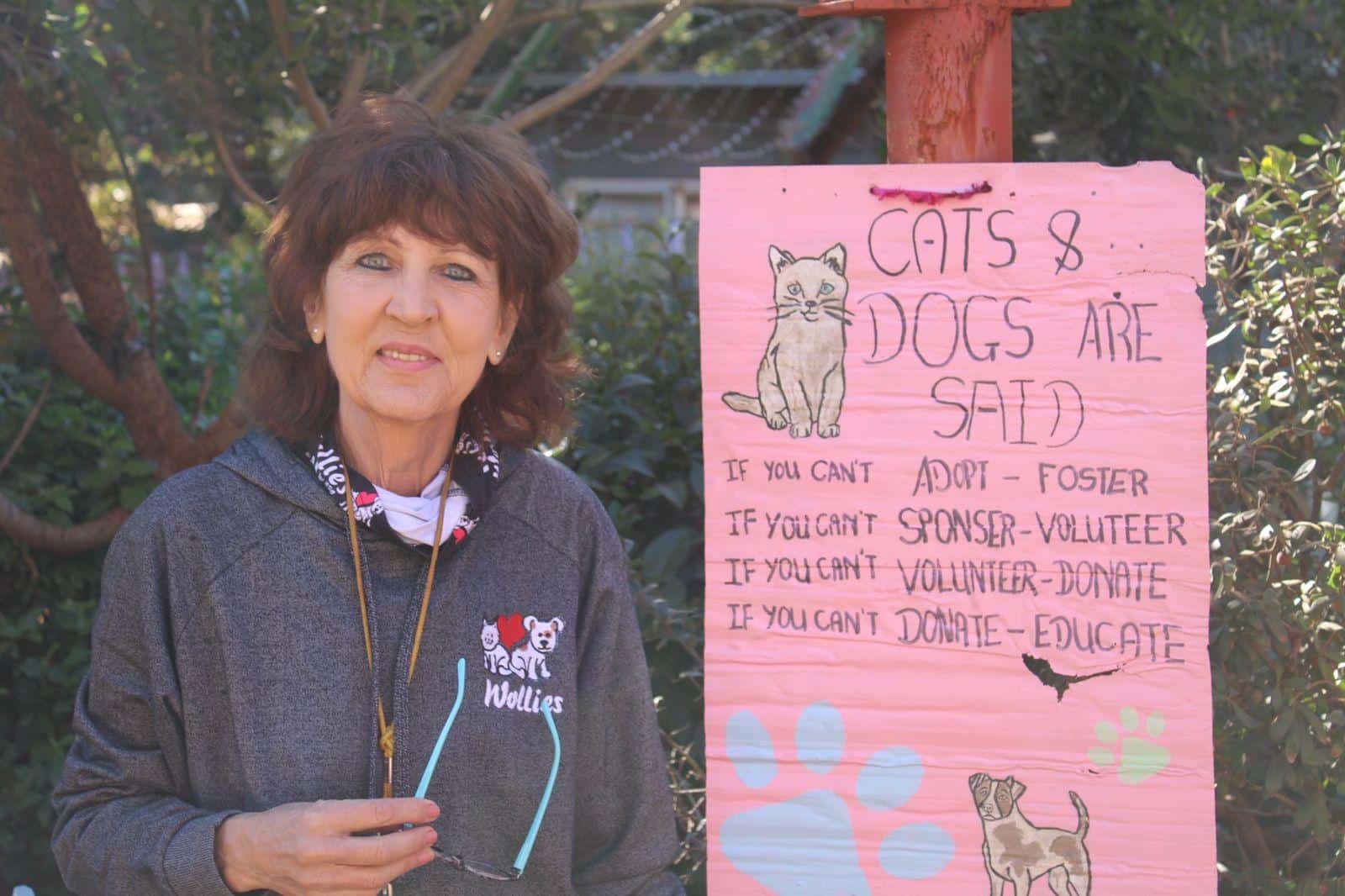 Wollies founder reflects as shelter celebrates 12 years | Rekord