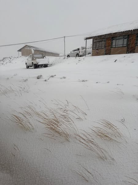 LOOK: Snow turns parts of SA into winter wonderland | Rekord
