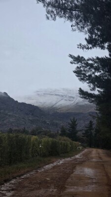 Snow confirmed in parts of SA – here are the photos | Rekord