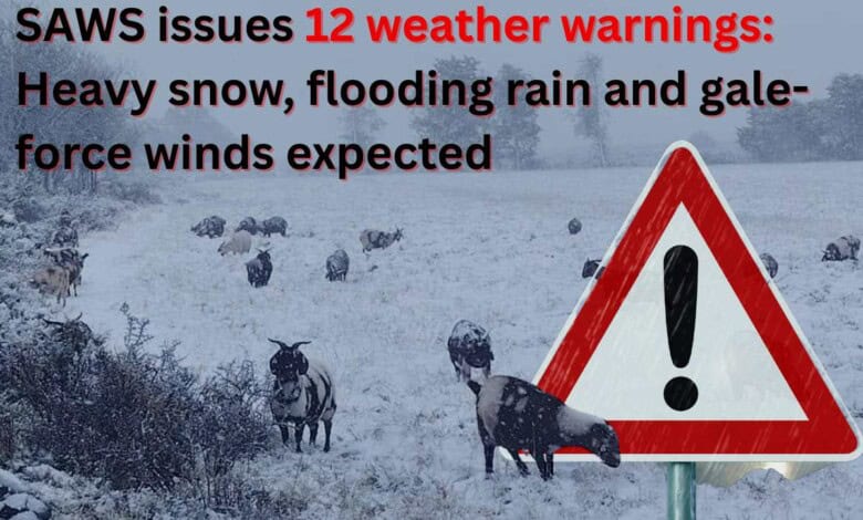 Life-threatening warnings for snow, rain and gale-force winds issued ...