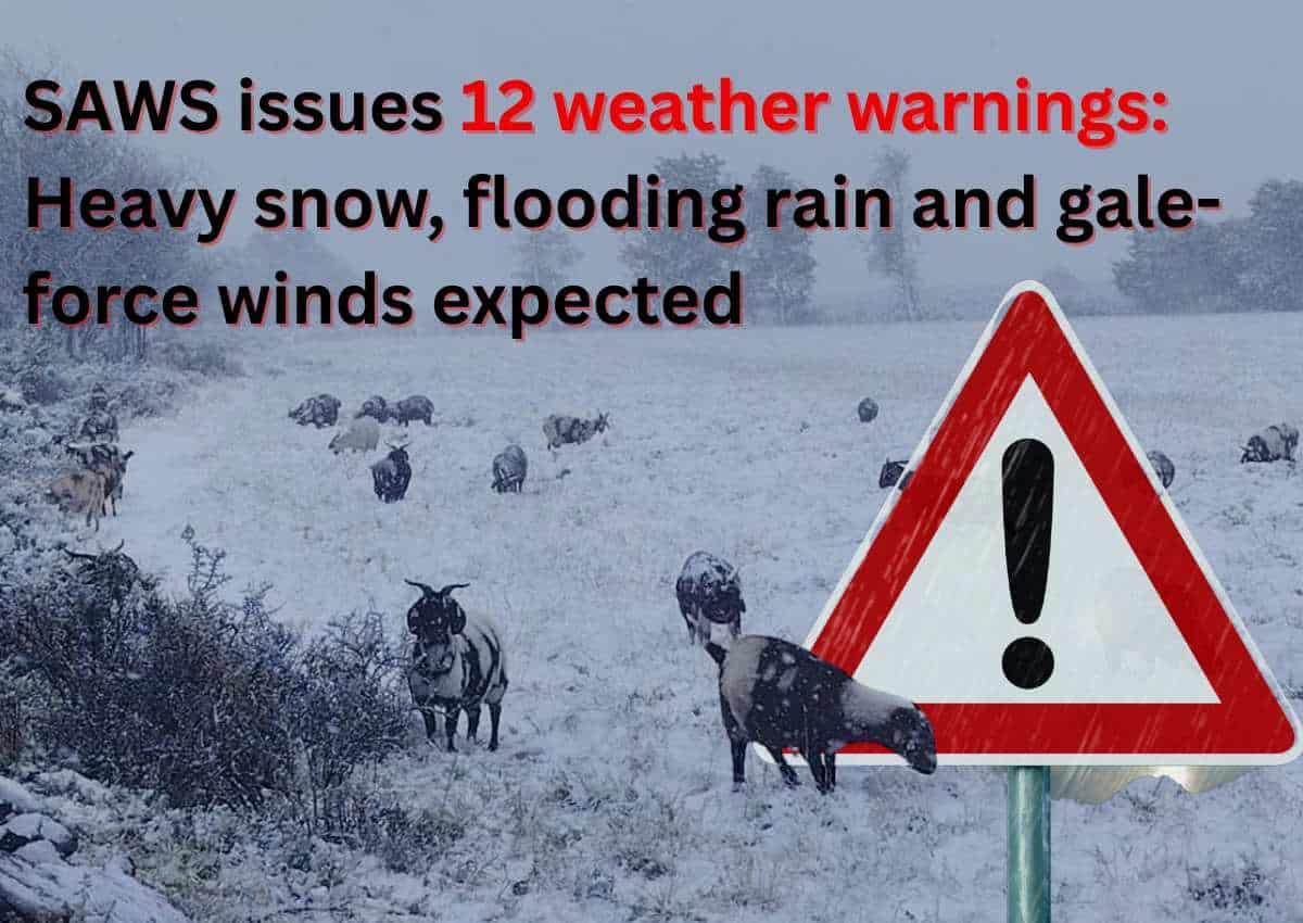 Life-threatening warnings for snow, rain and gale-force winds issued ...
