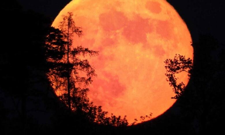 Strawberry Moon rises tonight - Dont miss it | Rekord