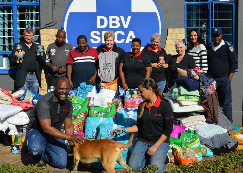 Rekord readers’ generosity brings relief to Tshwane SPCA | Rekord