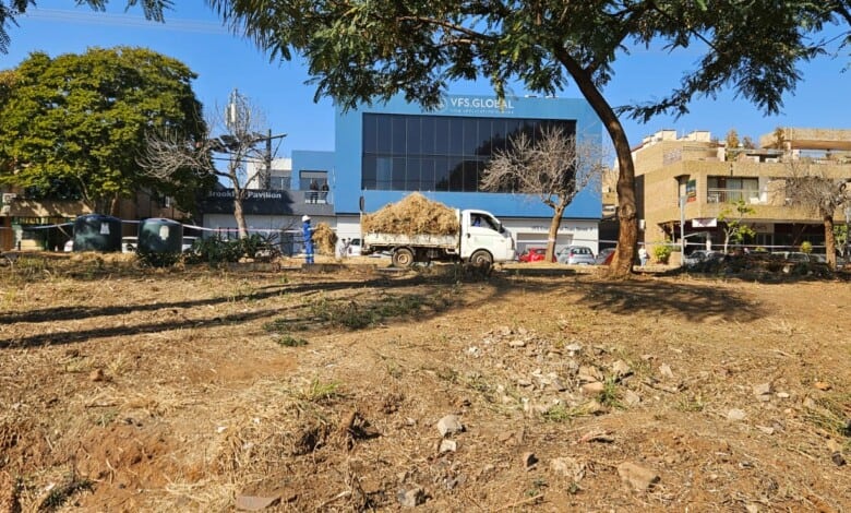 Community spirit shines as residents clean up neglected park | Rekord