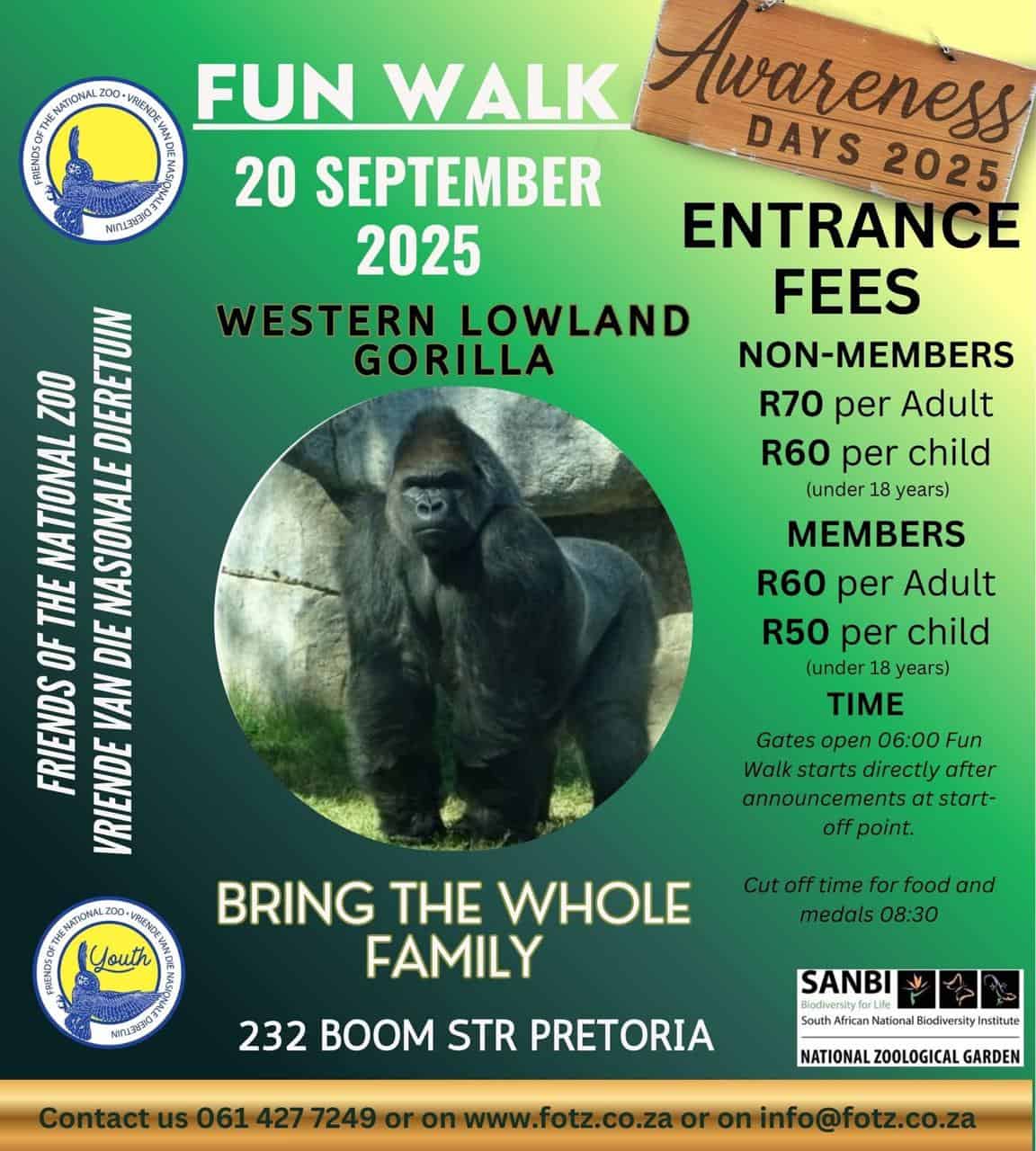 Plan your weekend with these fun walks and heritage celebrations | Rekord