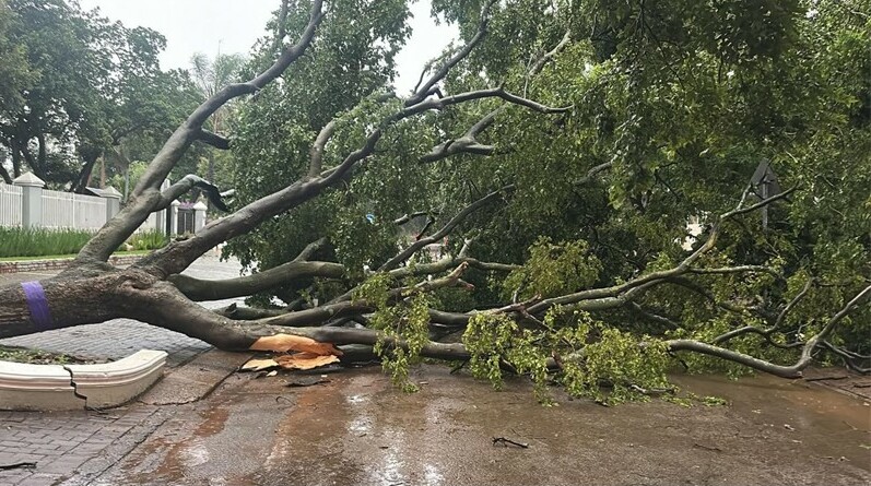 Volunteers clear fallen trees as metro reels from severe storm | Rekord