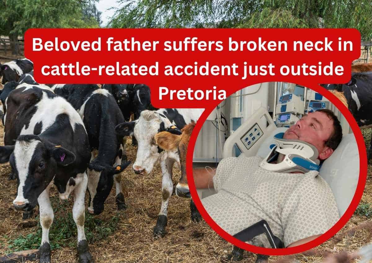 Beloved father suffers broken neck in cattle-related accident just ...