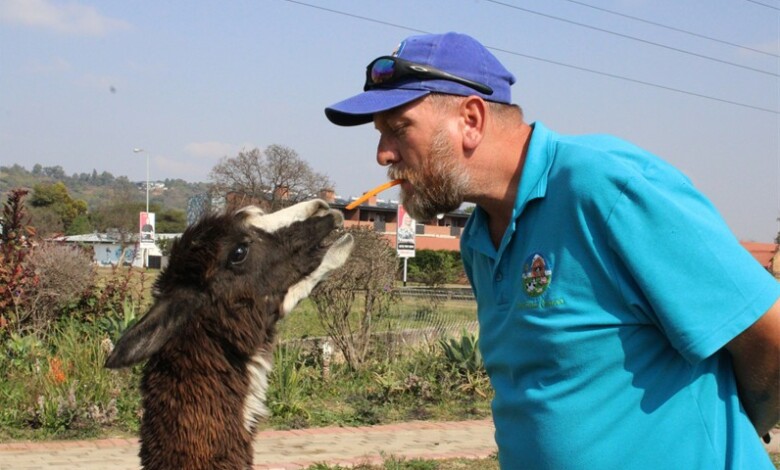 Family fun takes over at Moot Hub market day | Rekord
