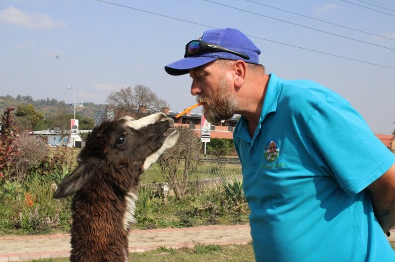 Family fun takes over at Moot Hub market day | Rekord
