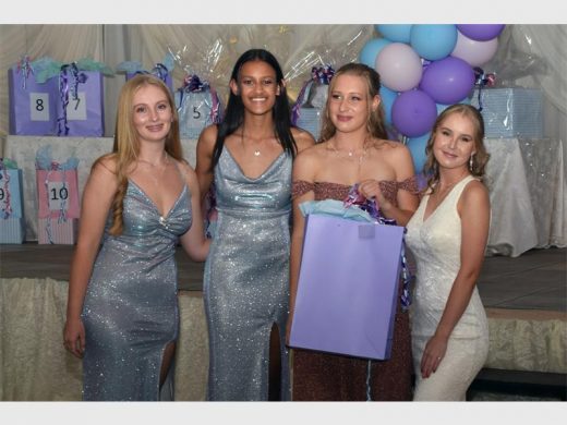 Rand Park debs raise R633 000 | Randburg Sun