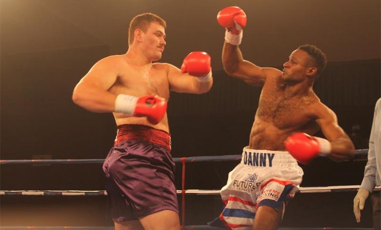 The dragon and tsetsi fly prepare for big fights | Randburg Sun