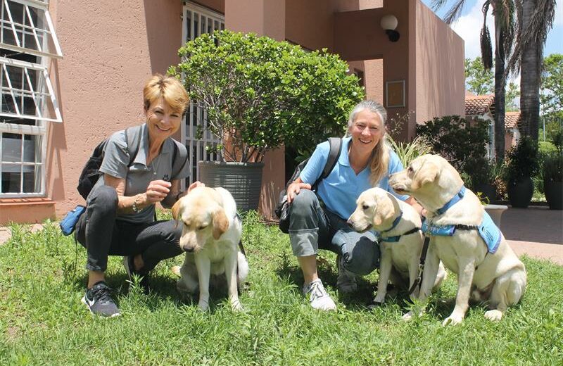 Guide dogs visit Olivedale Library | Randburg Sun