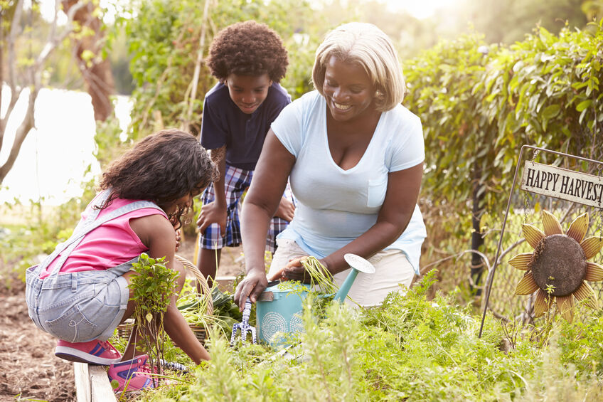 5 Fruit and vegetables for children to grow | Randburg Sun