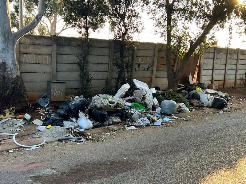 We are all partners in cleaning up our environment says Pikitup ...