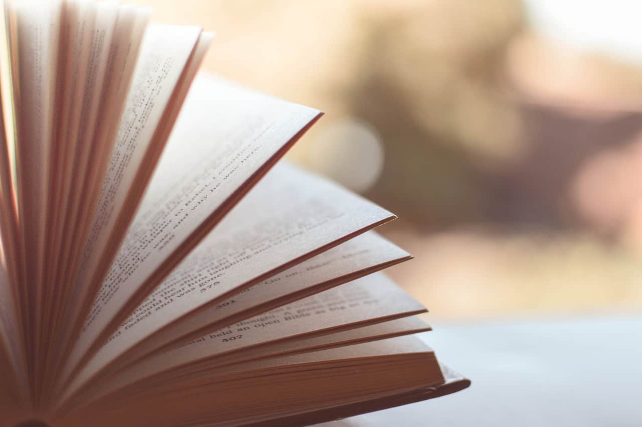 5 good books to tuck into before going back to work | Randburg Sun