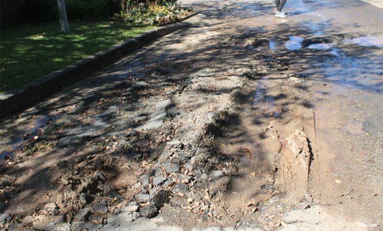 Underground water frustrates residents on Koorsboom Street | Randburg Sun