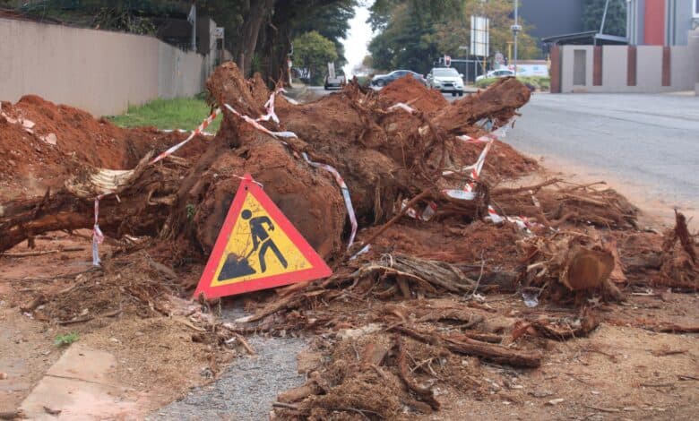 Tree stump remains blocking a lane on Mackay Avenue | Randburg Sun
