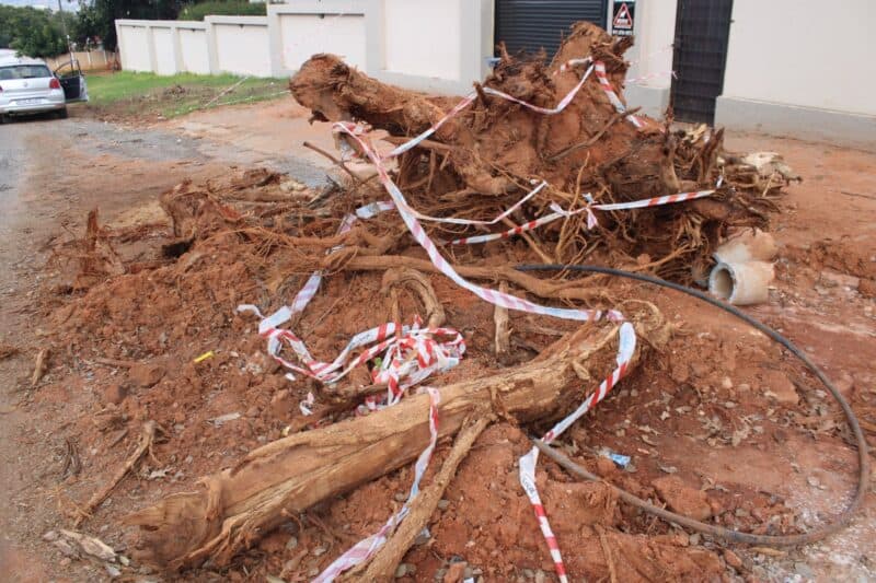 Tree stump remains blocking a lane on Mackay Avenue | Randburg Sun