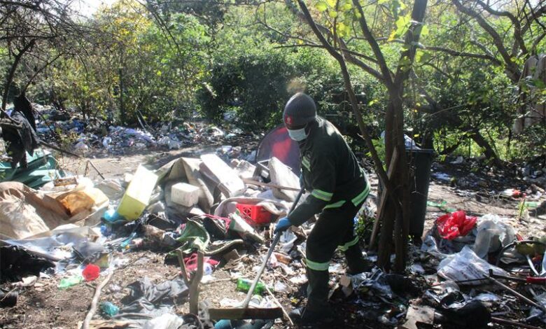 City entities conduct five-day clean-up to rehabilitate Ferndale ...