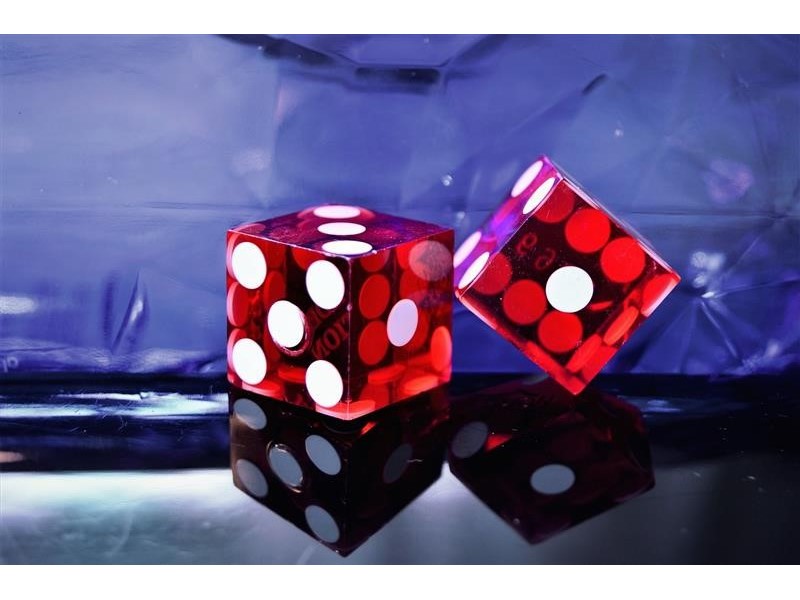 The Unstoppable Rise of Interactive Live Games | Middelburg Observer