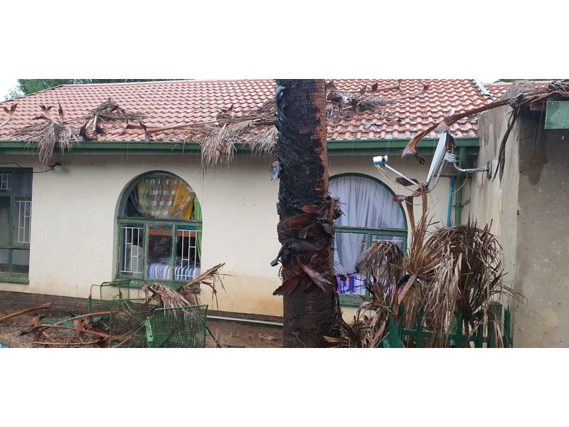 Weerlig slaan boom en huis raak | Middelburg Observer