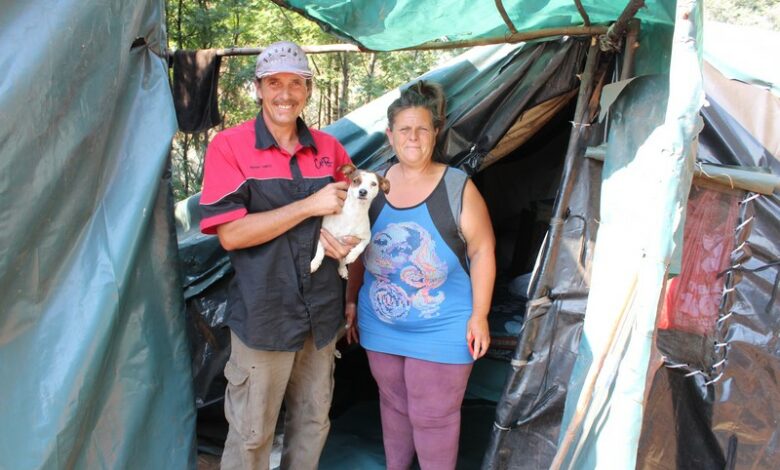 Haweloses wat tussen bosse bly moet weg | Middelburg Observer