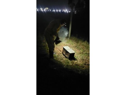 Bye verwyder wat munisipale werkers wil klits | Middelburg Observer