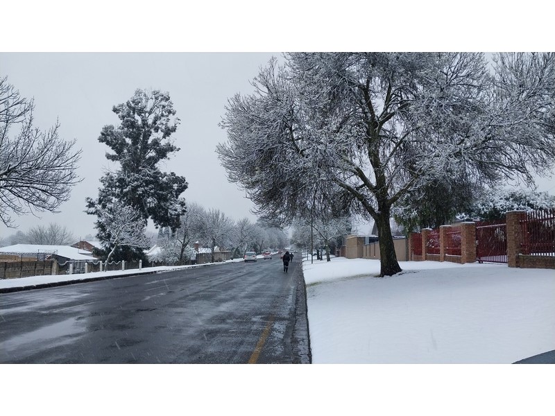Sneeu en Sjerrie - nog foto's gedeel | Middelburg Observer