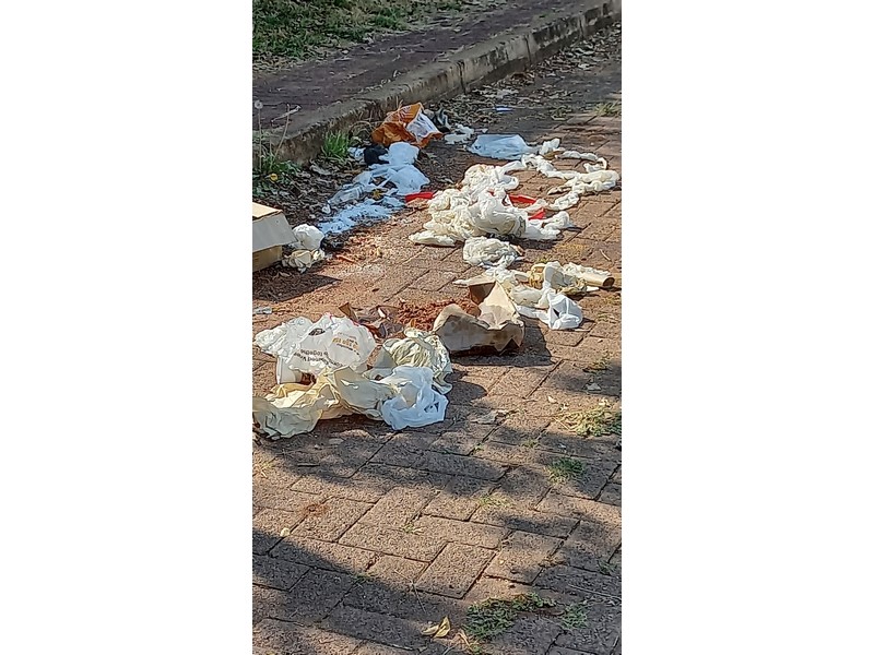 Keelvol vir vullis agter die hof | Middelburg Observer