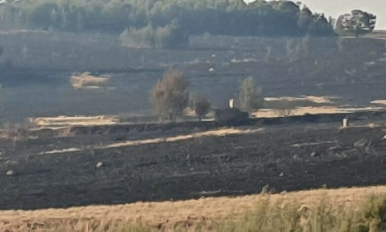 Video: Boer verloor 90% weiding in brand, wat voorkom kon gewees het ...