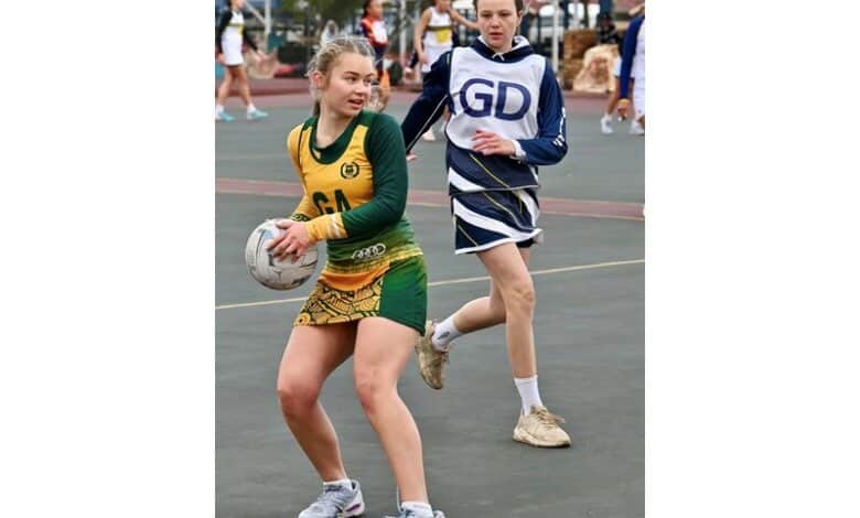 Vinnige netbal by Fast 5 | Middelburg Observer