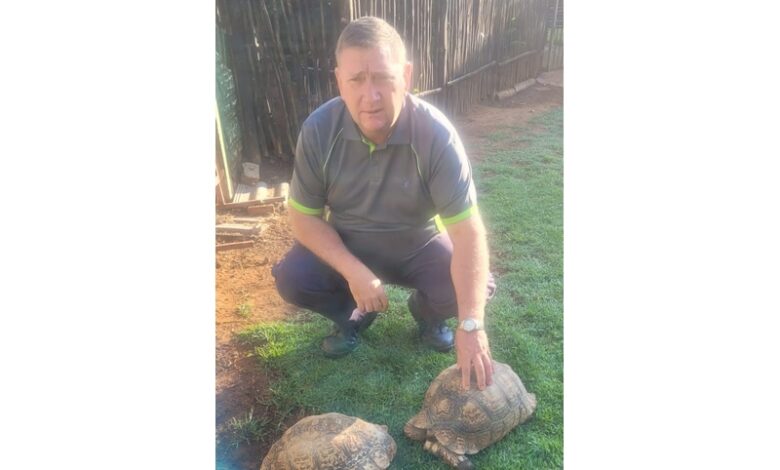 Jy ‘teken doodsvonnis’ vir skilpad as jy hom aanhou | Middelburg Observer