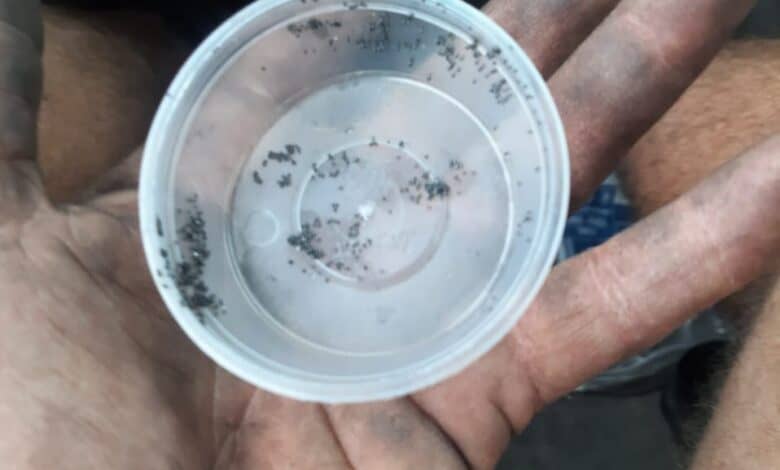 Vrou wat gif ingekry en in veld by Dennesig dammetjies gekry is, praat ...