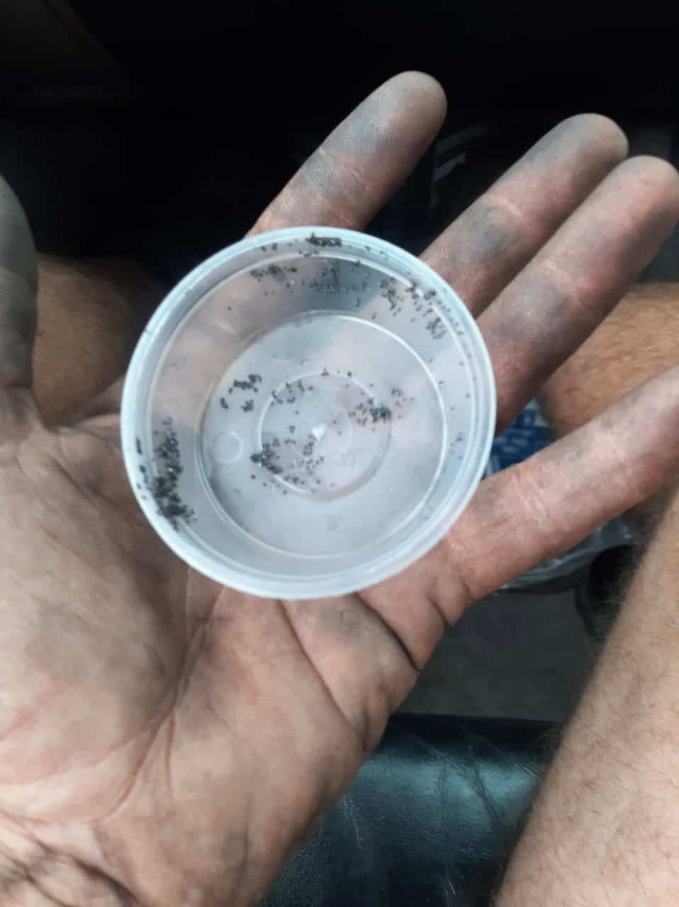 Vrou wat gif ingekry en in veld by Dennesig dammetjies gekry is, praat ...