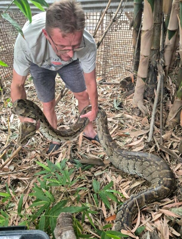 Video: Monster luislang sluk hond in | Middelburg Observer