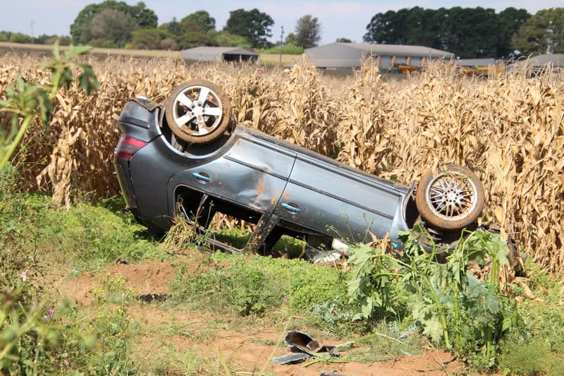Video: Ongeluk op Stoffbergpad, K9-eenheid soek vrugteloos met honde na ...