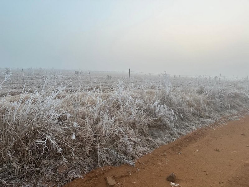 Middelburg ’n bibberende -8°C | Middelburg Observer
