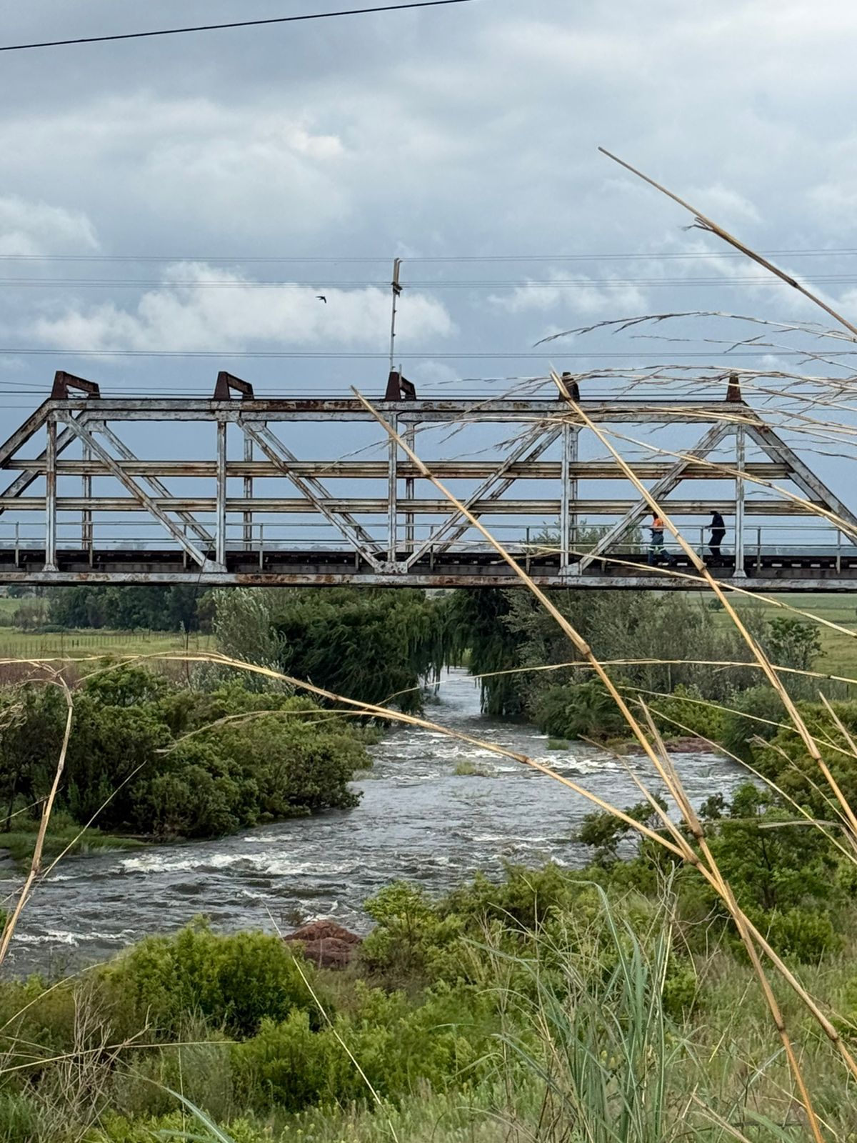 Middelburg train bridge: Sluice water sparks drowning search ...