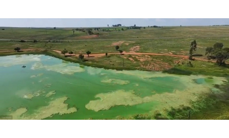 WATCH: DWS investigating sewage in Middelburg Dam after municipality ...