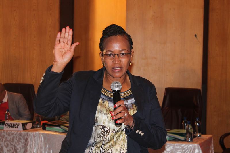 Re-run for position of Council Speaker | Highvelder News