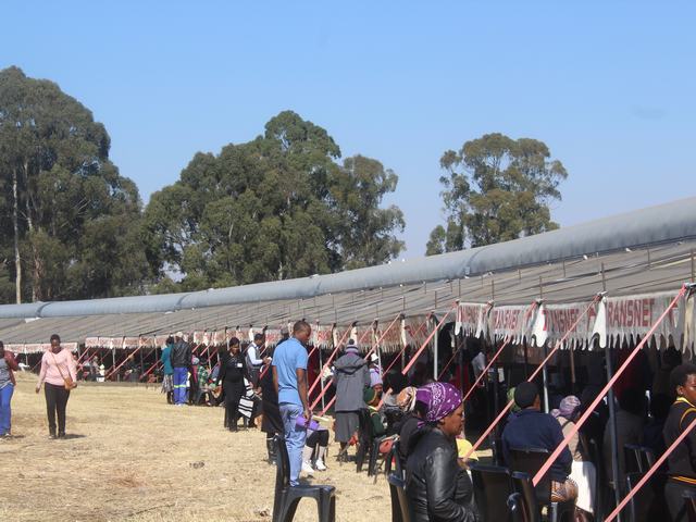 Phelophepha Health Care train is in Ermelo | Highvelder News