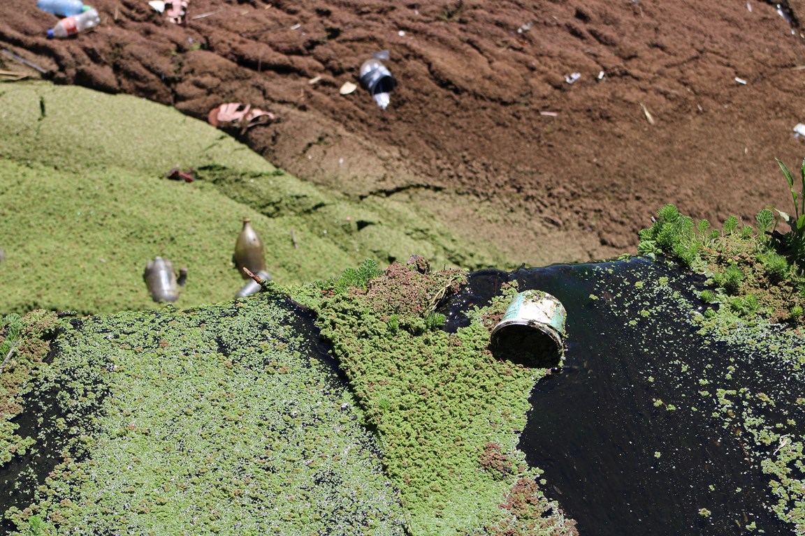 Mandla Zwane comments on the clean up of Pet Dam | Highvelder News