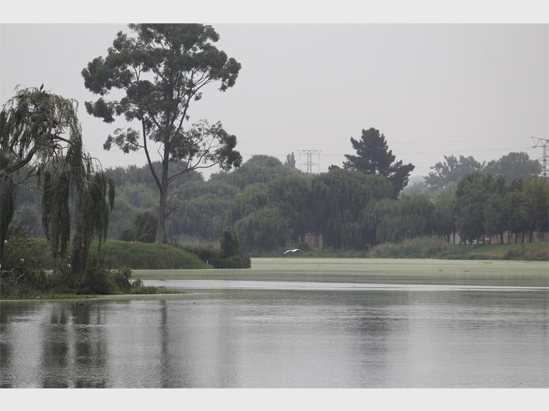 Msukaligwa Business & Community Forum shines the spotlight on Pet Dam ...