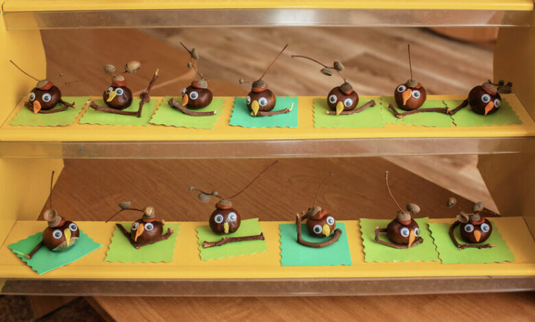 Crafting with kids: Create an owl with an acorn | Highvelder News