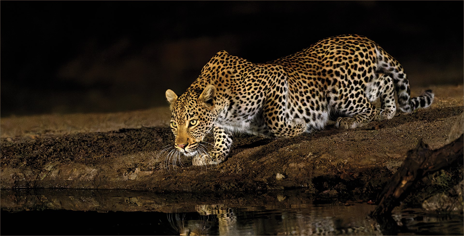 GALERY - Fotograwe van Ermelo wys hul vernuf | Highvelder News