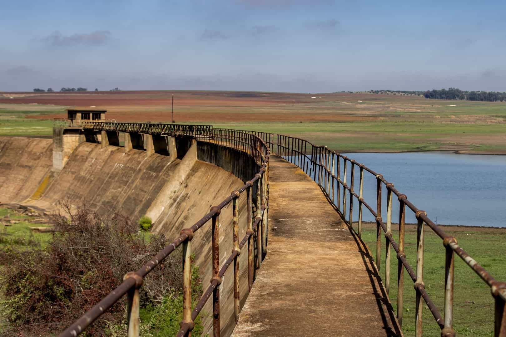 GALLERY - Brummer and Douglas dams drying up | Highvelder News