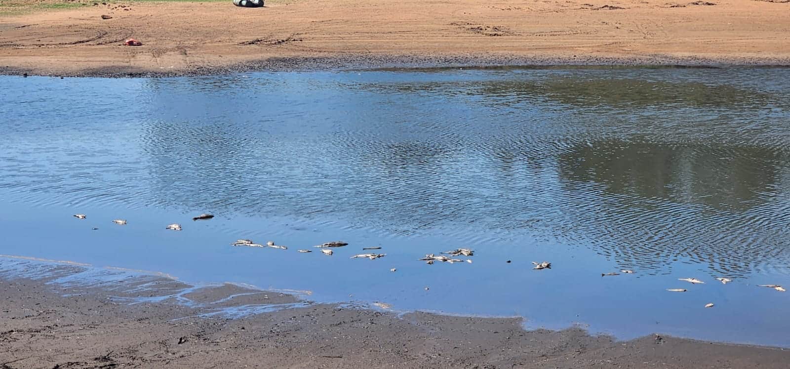 GALLERY - Torbanite Dam in dire state as water levels drop | Highvelder ...