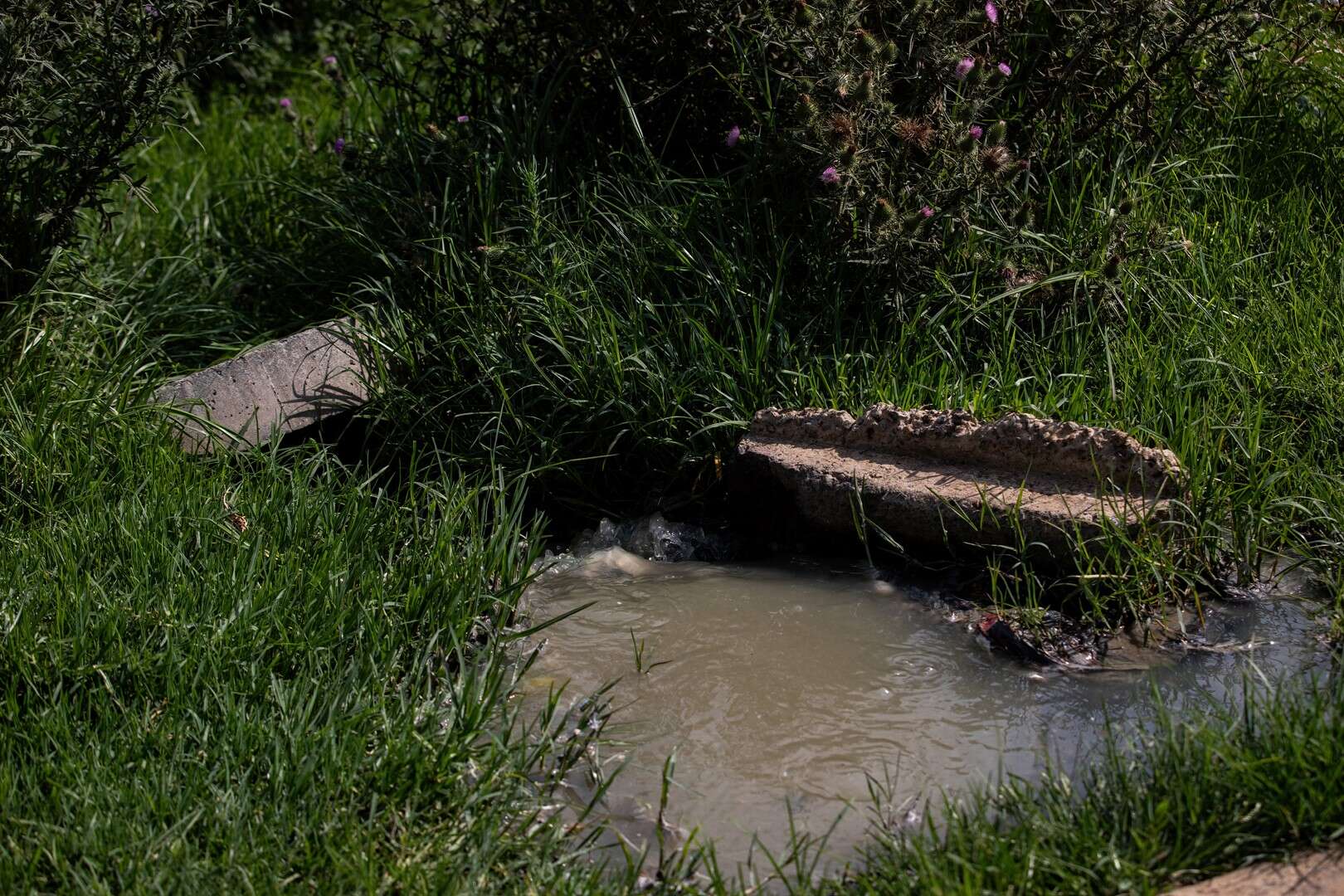 Overflowing manholes pollute water sources in Ermelo amid pipeline ...