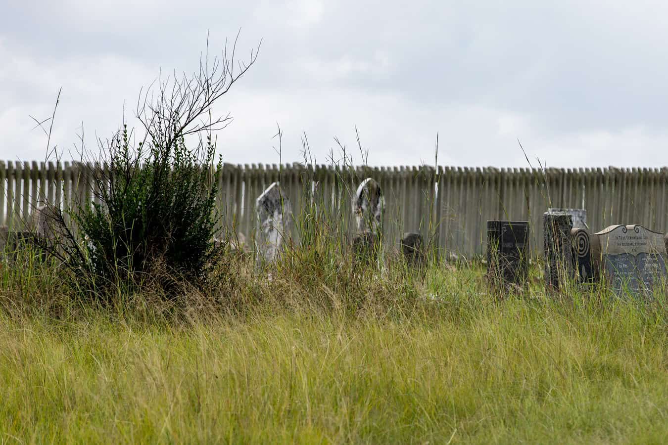 AfriForum knap historiese Chrissiesmeer-begraafplaas op | Highvelder News