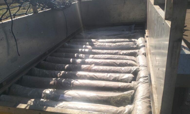 Dagga bust worth R400k at Mahamba border post | Highvelder News